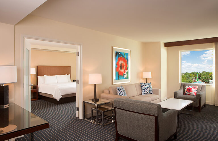 Stay - The Hilton Orlando